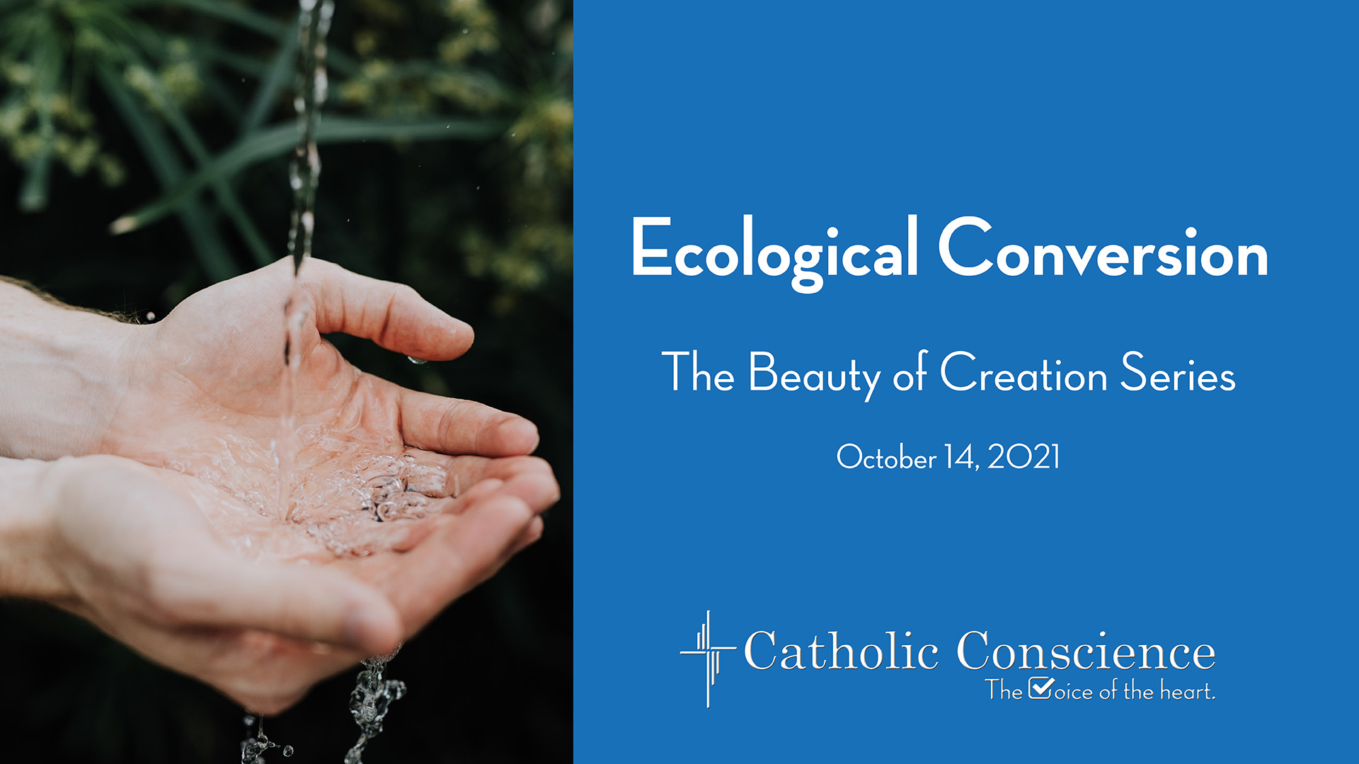 Ecological Conversion | Catholic Conscience